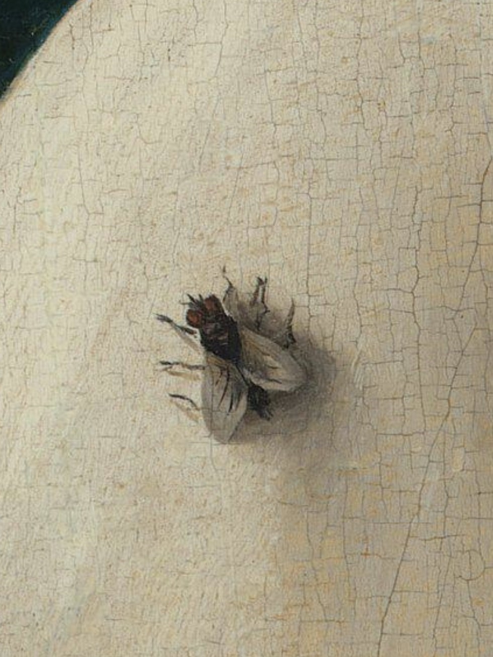 223 – FLY – dr richard stemp